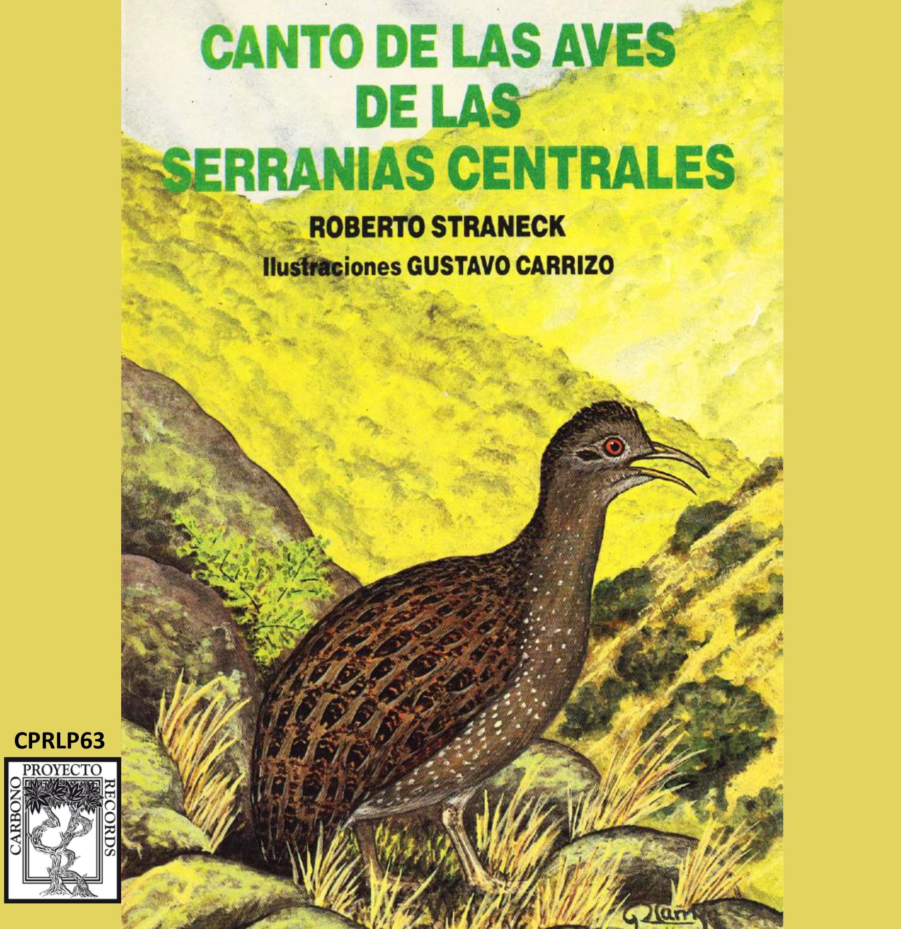 (63) 2024 / Canto de las aves de las Serranías Centrales (por Roberto ...